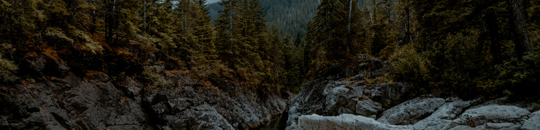 No.36 Bank Line – 1lb. Roll | Self Reliance Outfitters